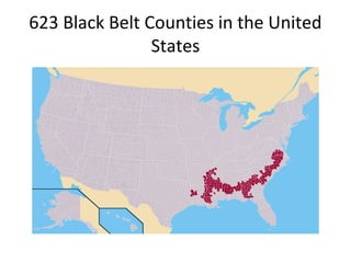 Blackbelt Renaissance Project-Powerpoint-Stegall-Master Thesis | PPT ...