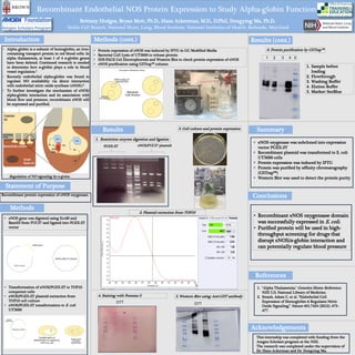 B. Hodges NIH Amgen Poster Presentation | PPTX