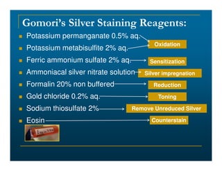 Gomori Reticular Fiber Stain RESEARCH 04-2016 Powerpoint | PDF