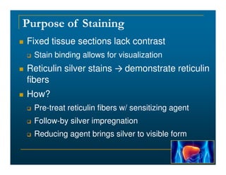 Gomori Reticular Fiber Stain RESEARCH 04-2016 Powerpoint | PDF