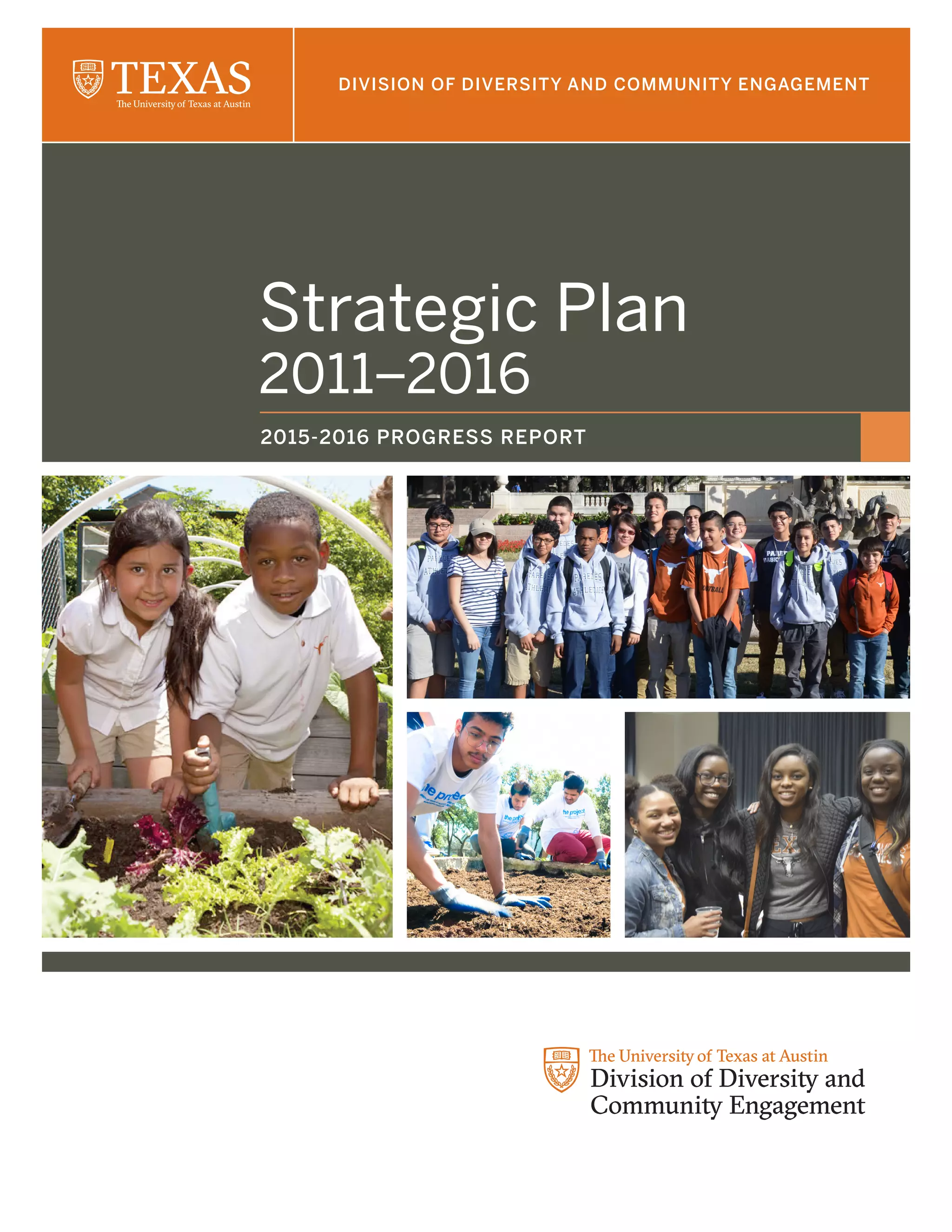 2015.2016 DDCE Strategic Plan Progress Report | PDF