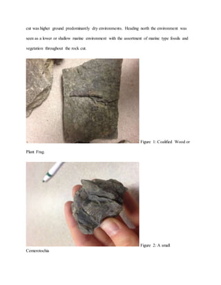 Hist. geology field report | DOCX