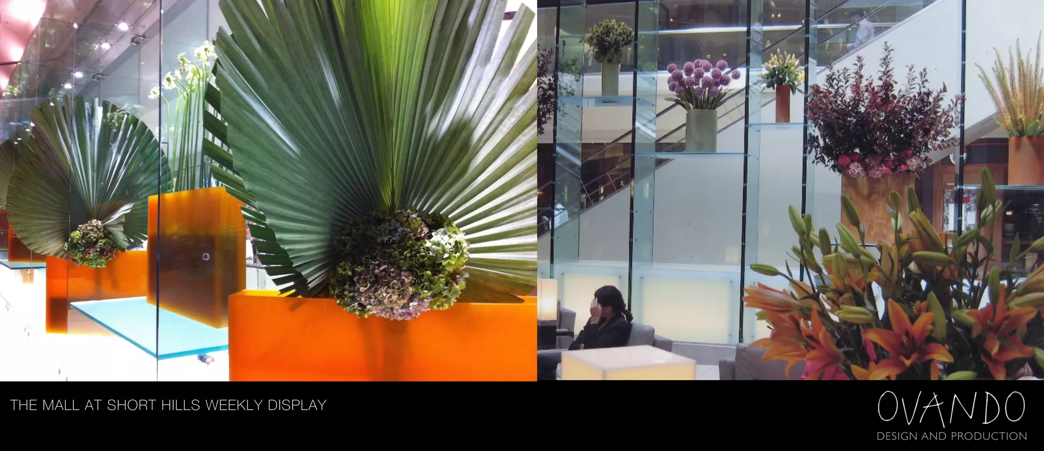 Ovando Corporate | PPT