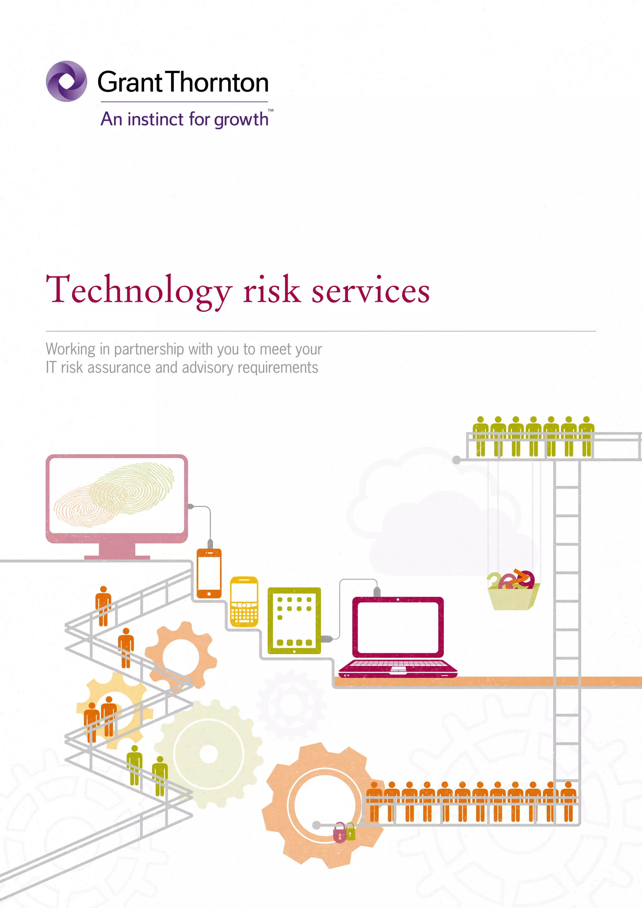 Technology Risk Services | PDF