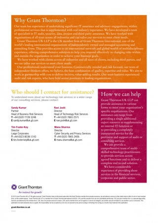 Technology Risk Services | PDF