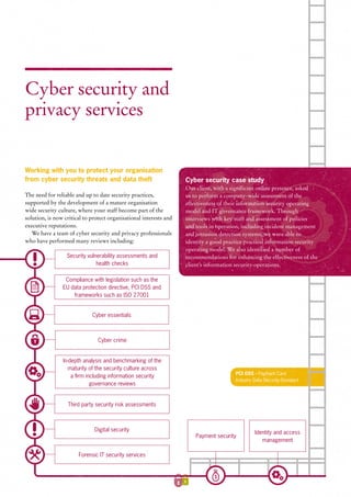 Technology Risk Services | PDF