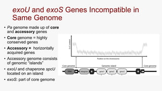 Defense_Final_Version | PDF
