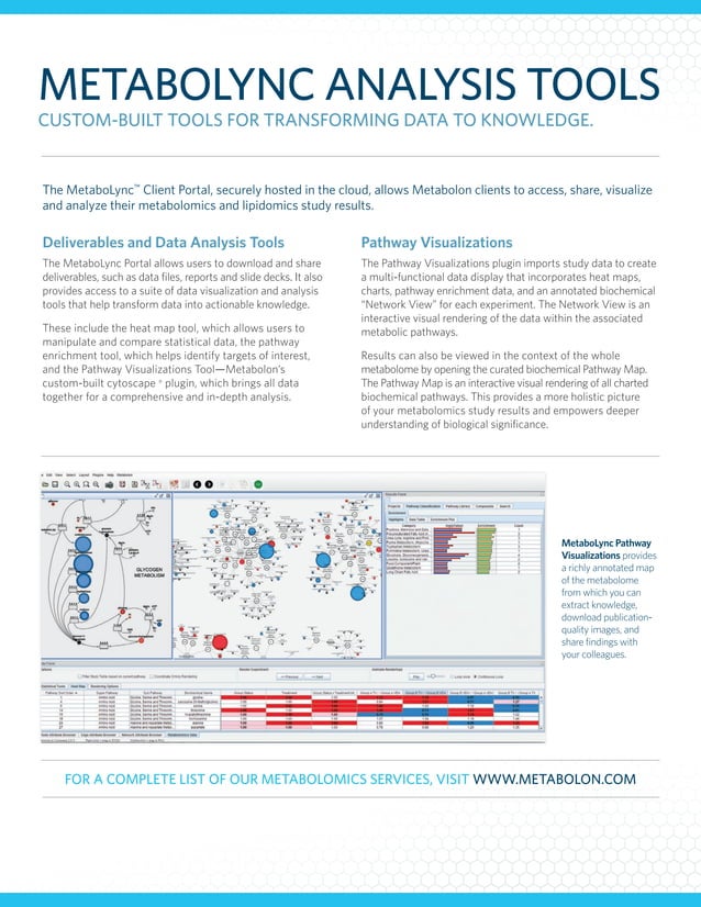 Metabolon Global Metabolomics | PDF