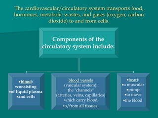 1AA L Cardiovascular system.ppt