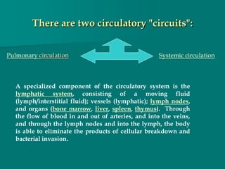 1AA L Cardiovascular system.ppt
