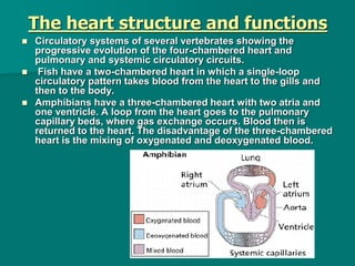 1AA L Cardiovascular system.ppt
