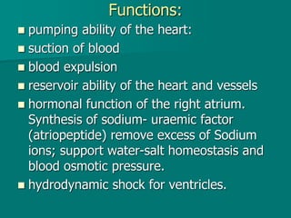 1AA L Cardiovascular system.ppt