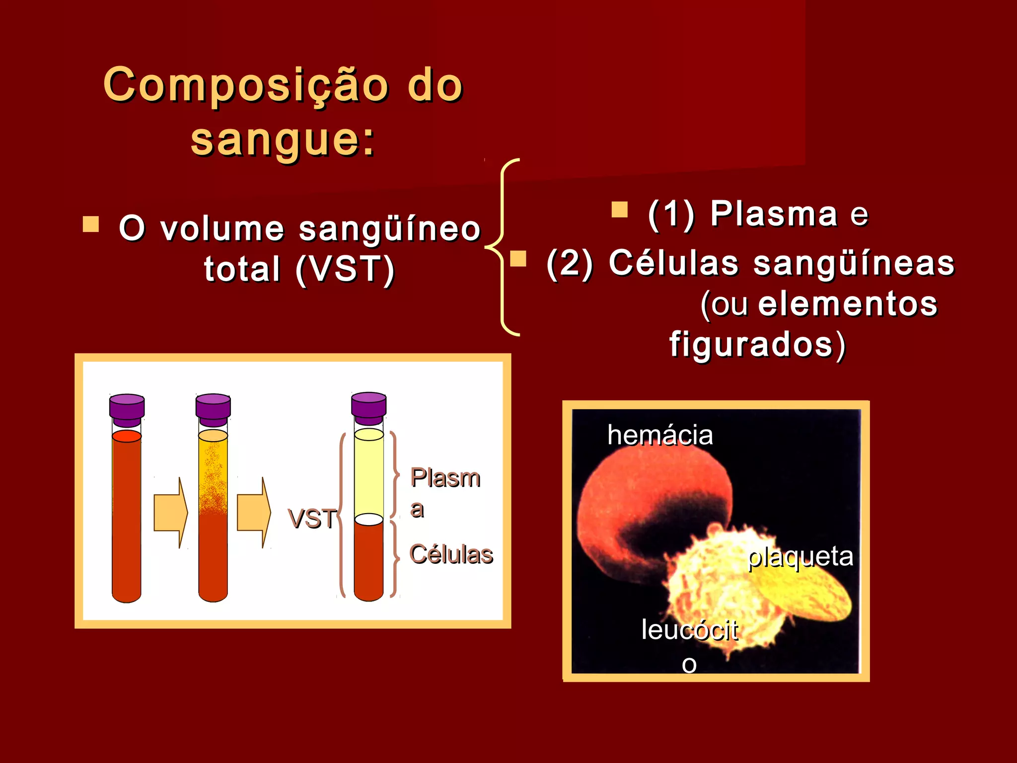 1a aula sangue (composição, caracterização geral e origem das células ...