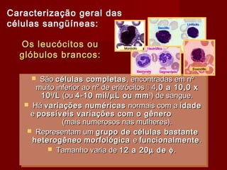 1a aula sangue (composição, caracterização geral e origem das células ...