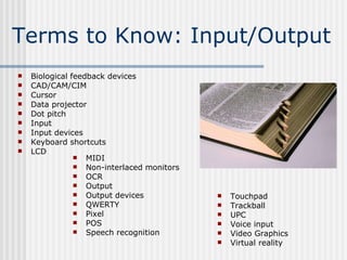 1ab Input And Output | PPT