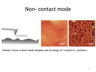 Atomic Force Microscopy | PPTX | Chemistry | Science