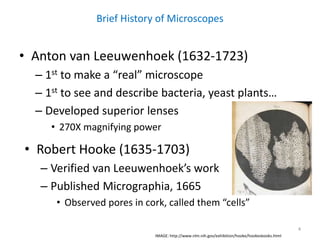 Atomic Force Microscopy | PPTX | Chemistry | Science