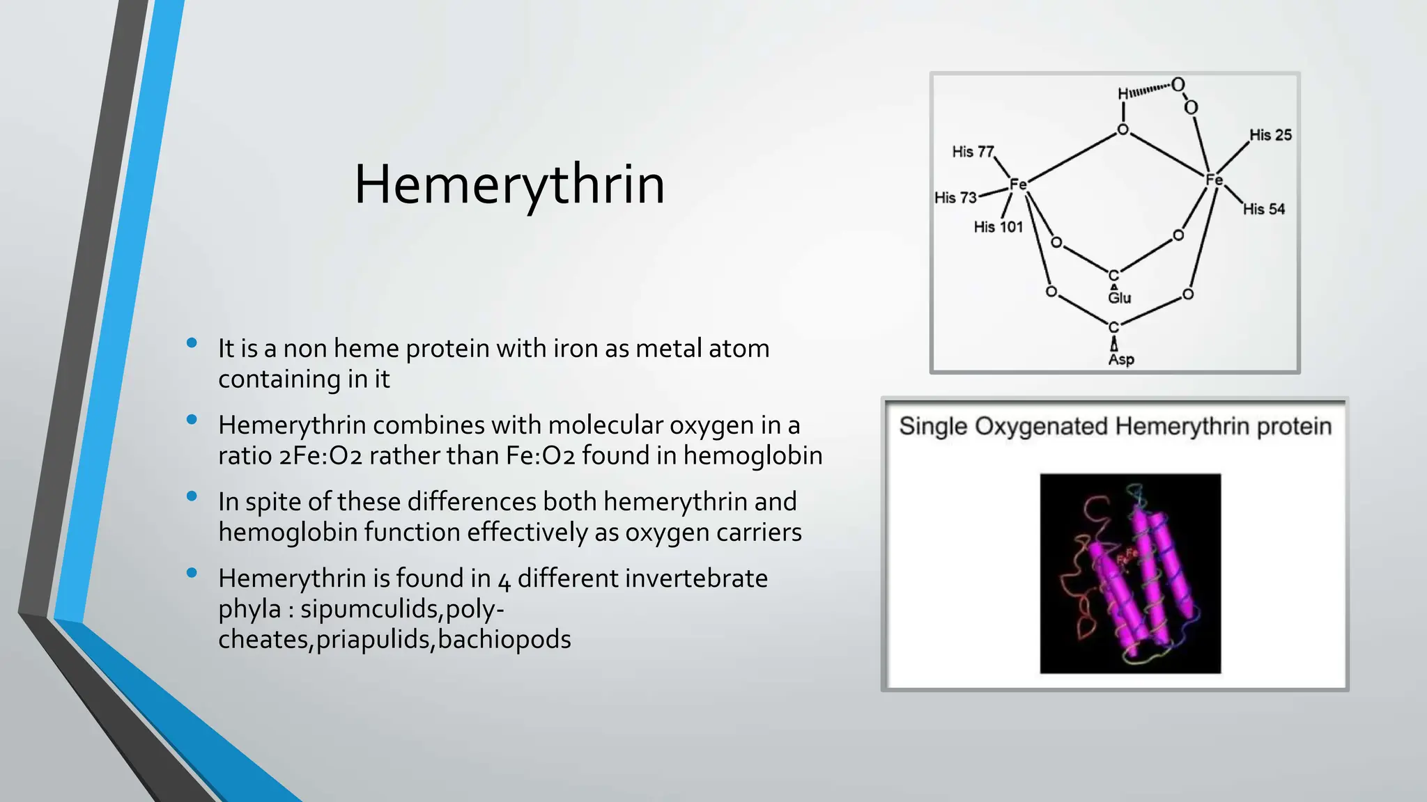 Slide on Hemeerythrin andh emocyanin.pptx