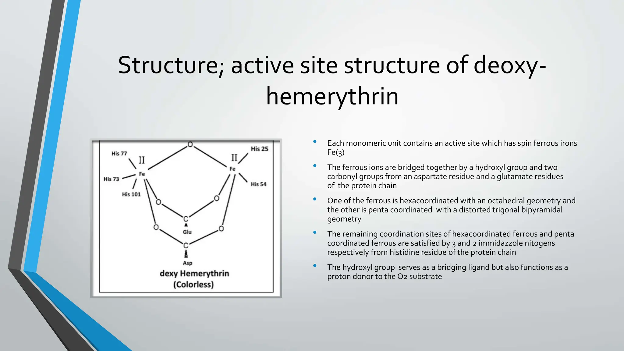 Slide on Hemeerythrin andh emocyanin.pptx