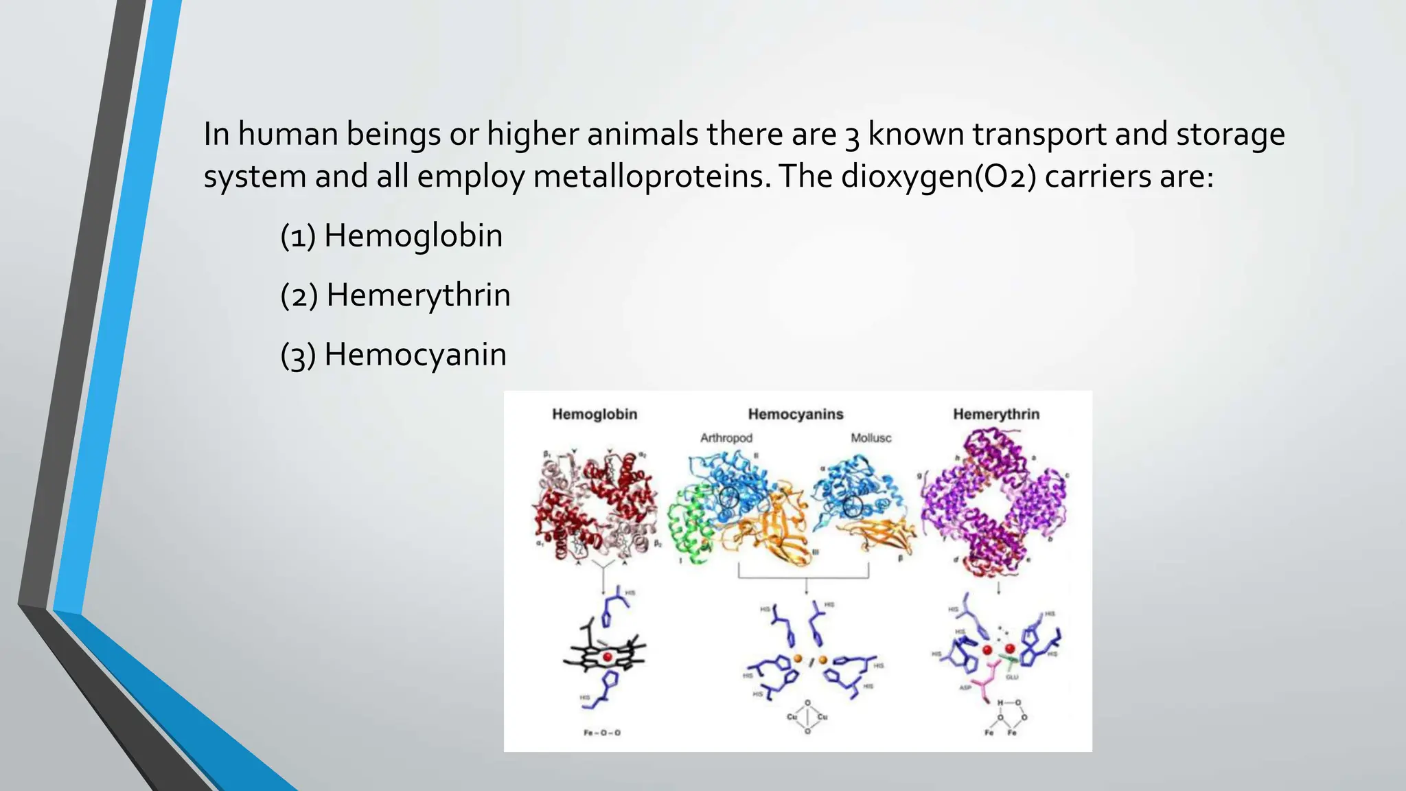 Slide on Hemeerythrin andh emocyanin.pptx