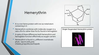 Slide on Hemeerythrin andh emocyanin.pptx
