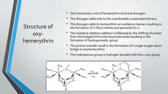 Slide on Hemeerythrin andh emocyanin.pptx | Blood Disorders | Diseases ...