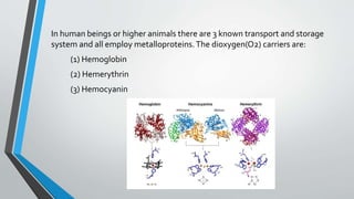 Slide on Hemeerythrin andh emocyanin.pptx