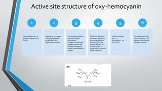 Slide on Hemeerythrin andh emocyanin.pptx