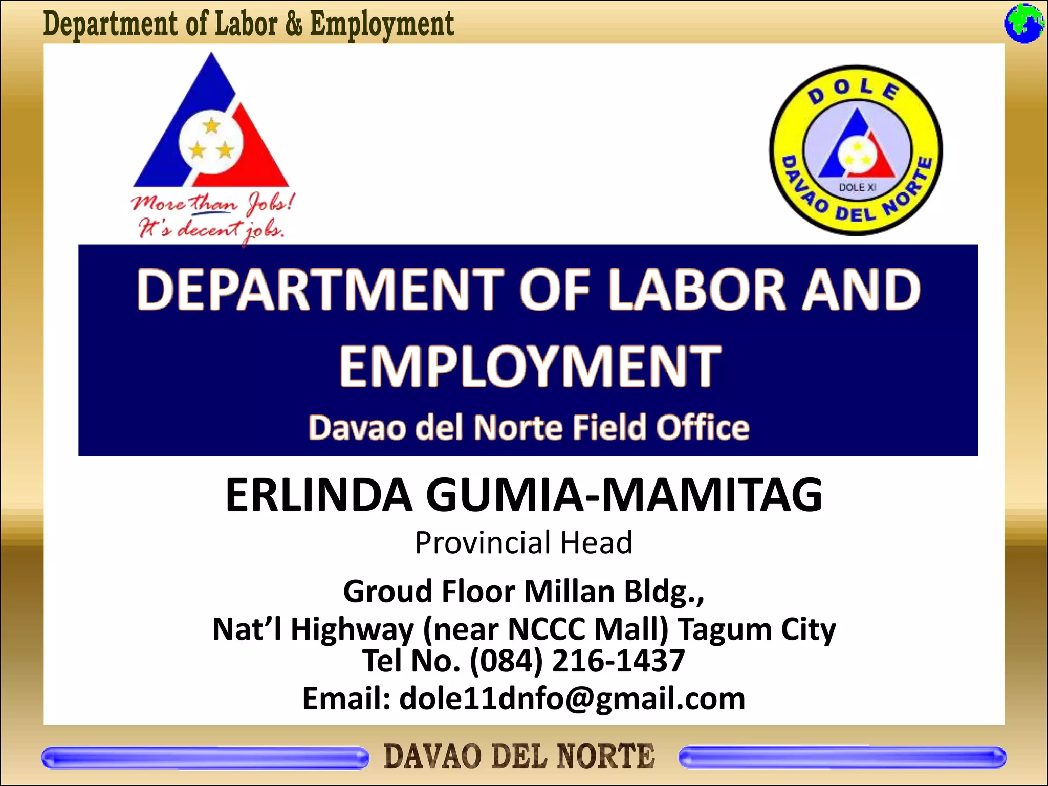 DOLE Government Internship Program (GIP) | PPTX