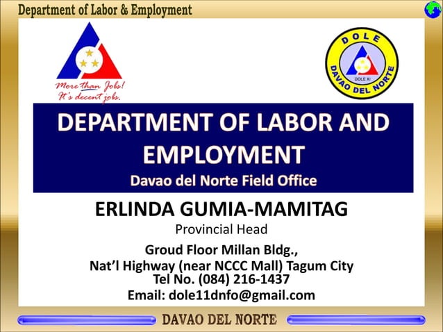 DOLE Government Internship Program (GIP) | PPTX