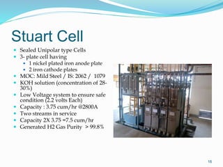 H2 Plant presentation-2 | PPTX