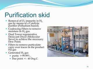 H2 Plant presentation-2 | PPTX