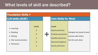 1 acsf c sf_w_v2 | PPT