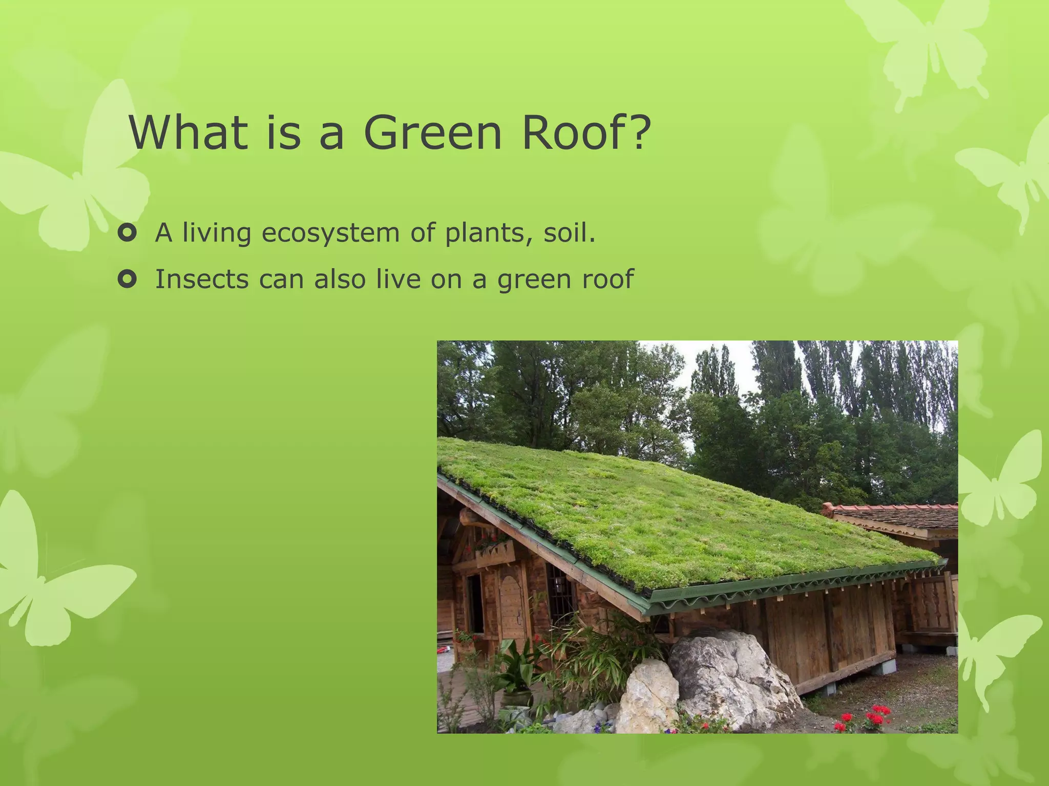 Teaching Elementary School Children About Green Roofs | PDF