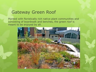 Teaching Elementary School Children About Green Roofs | PPT