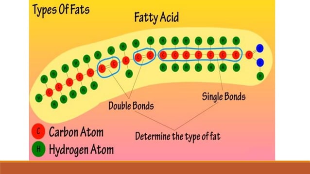 Trans Fatty Acids:Advantages and Disadvantages | PDF