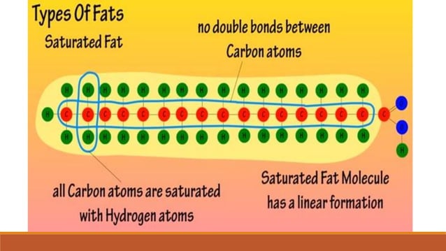 Trans Fatty Acids:Advantages and Disadvantages | PDF