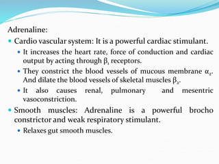 1) ADRENERGIC AND ADRENERGIC BLOCKING DRUGS.ppt | Endocrine and ...