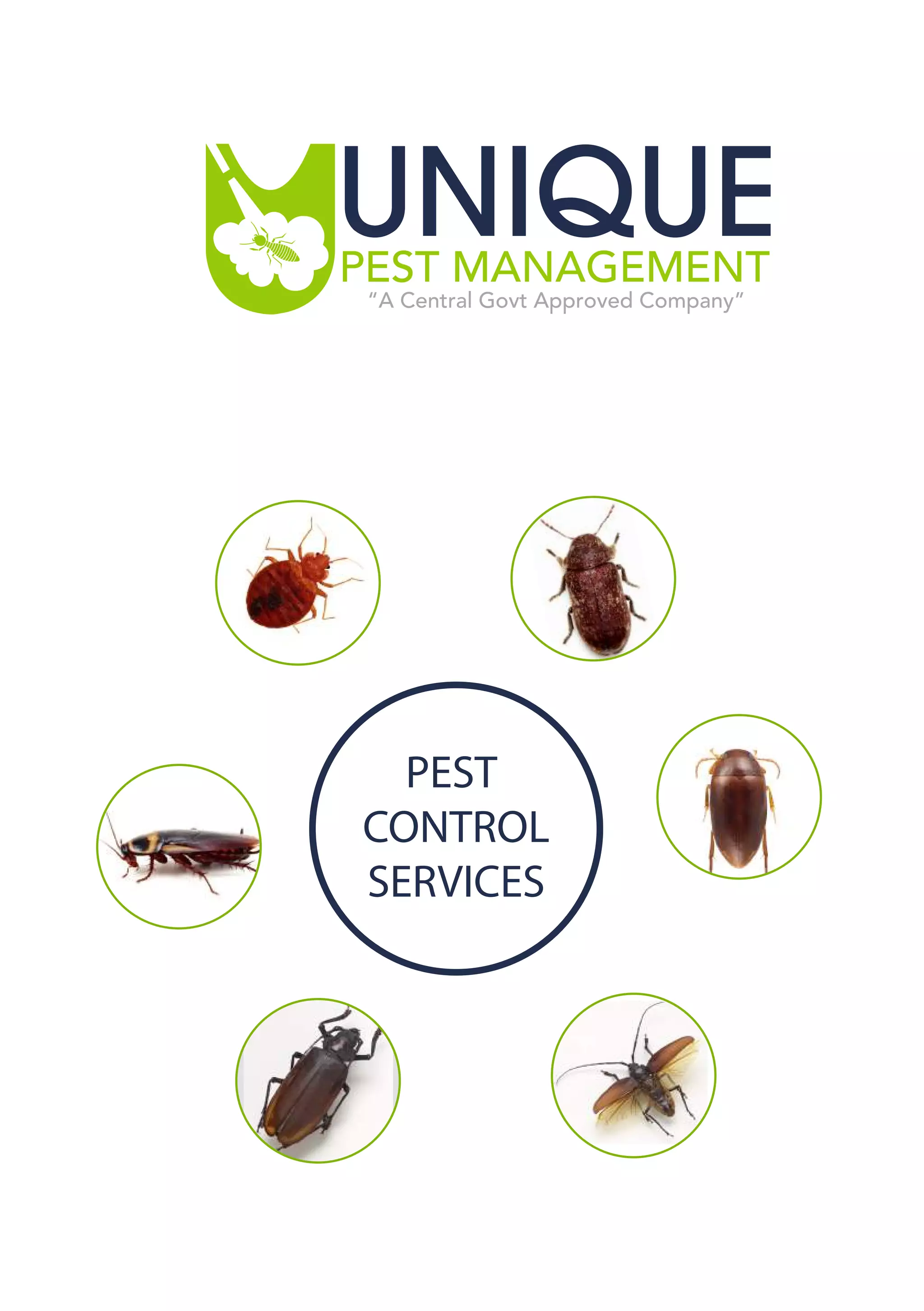 Brochure | PDF
