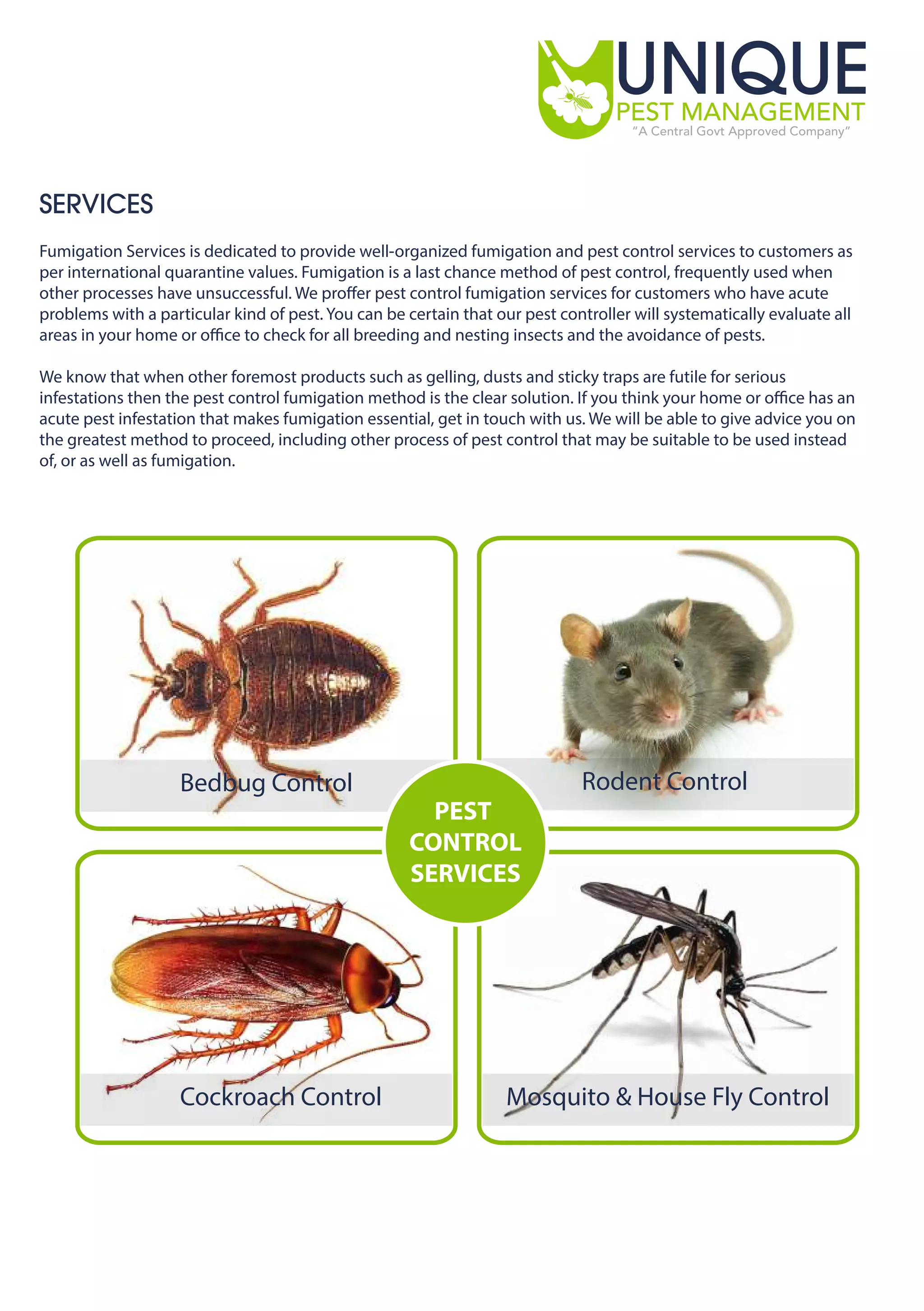 Brochure | PDF