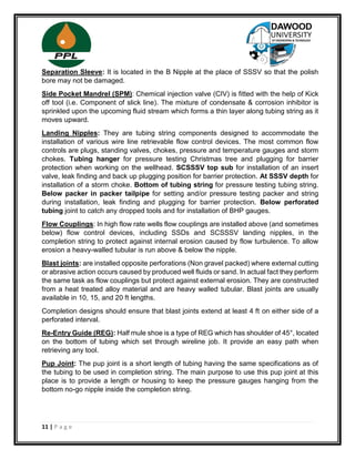 Internship Report | PDF