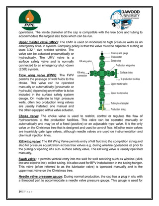 Internship Report | PDF