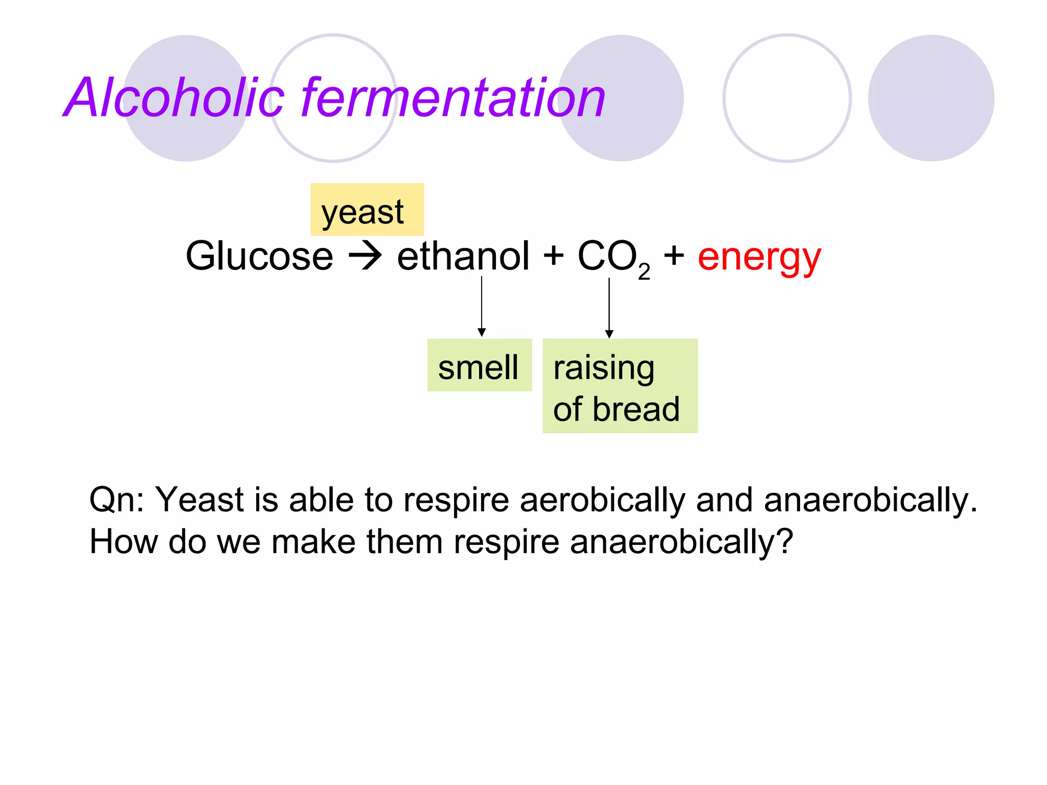 Chapter 10 Respiration Lesson 1 - Aerobic and Anaerobic Respiration and ...