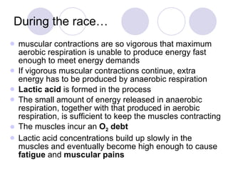 Chapter 10 Respiration Lesson 1 - Aerobic and Anaerobic Respiration and ...
