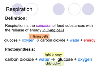 Chapter 10 Respiration Lesson 1 - Aerobic and Anaerobic Respiration and ...