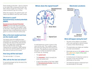 PR 30406 - Assessing Patients with a Brain Injury BROCHURE | PPT