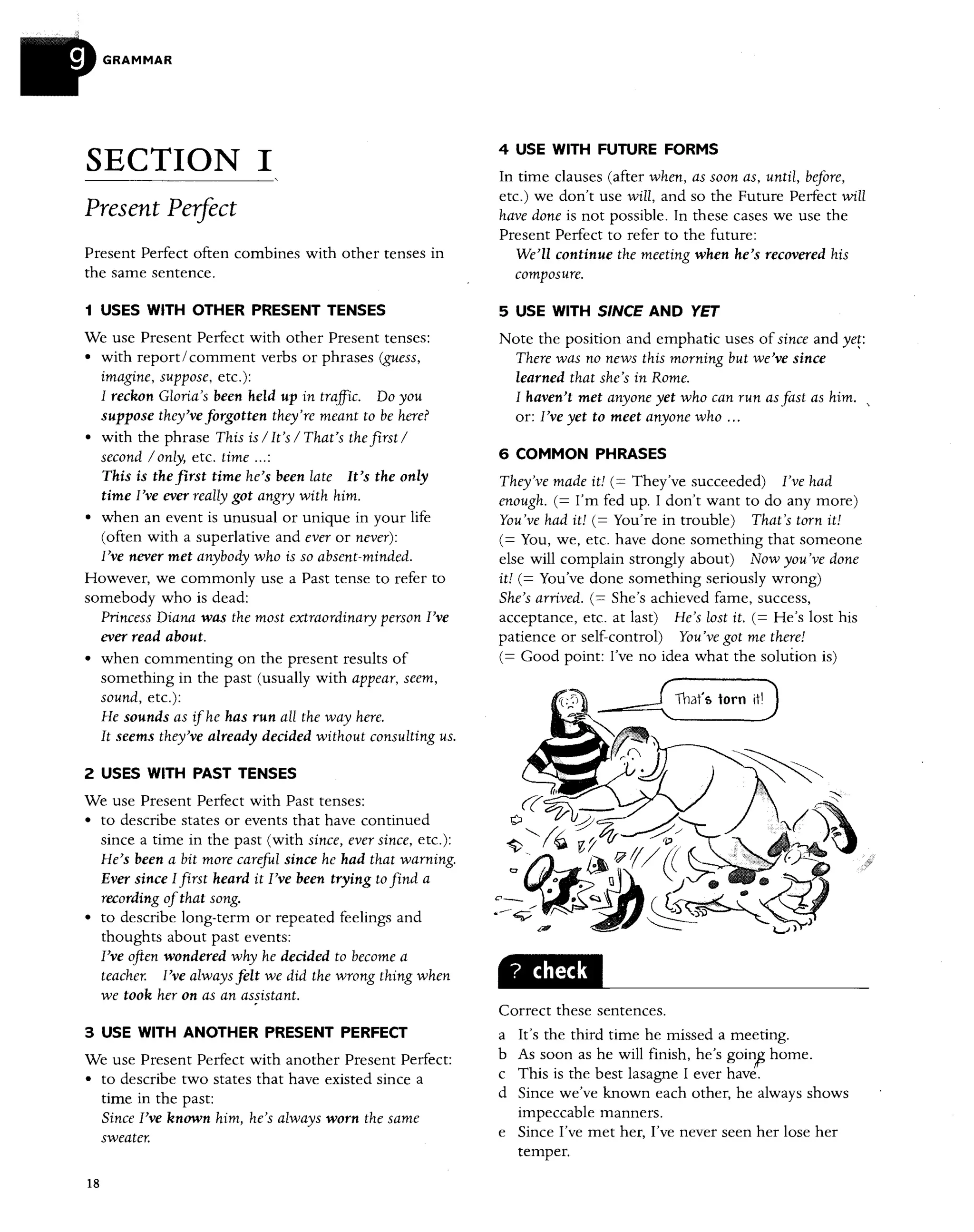 Grammar And Vocabulary For Cae And Cpe Pdf