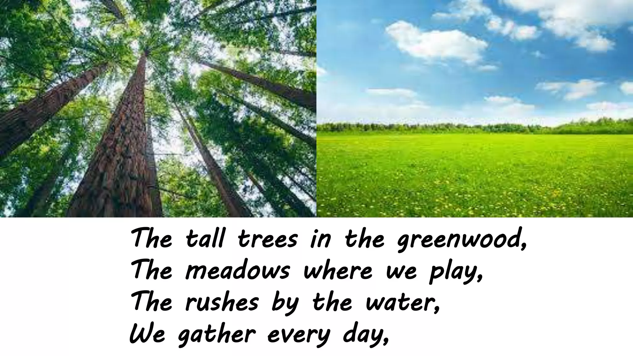 1 all things bright and beautiful.pptx