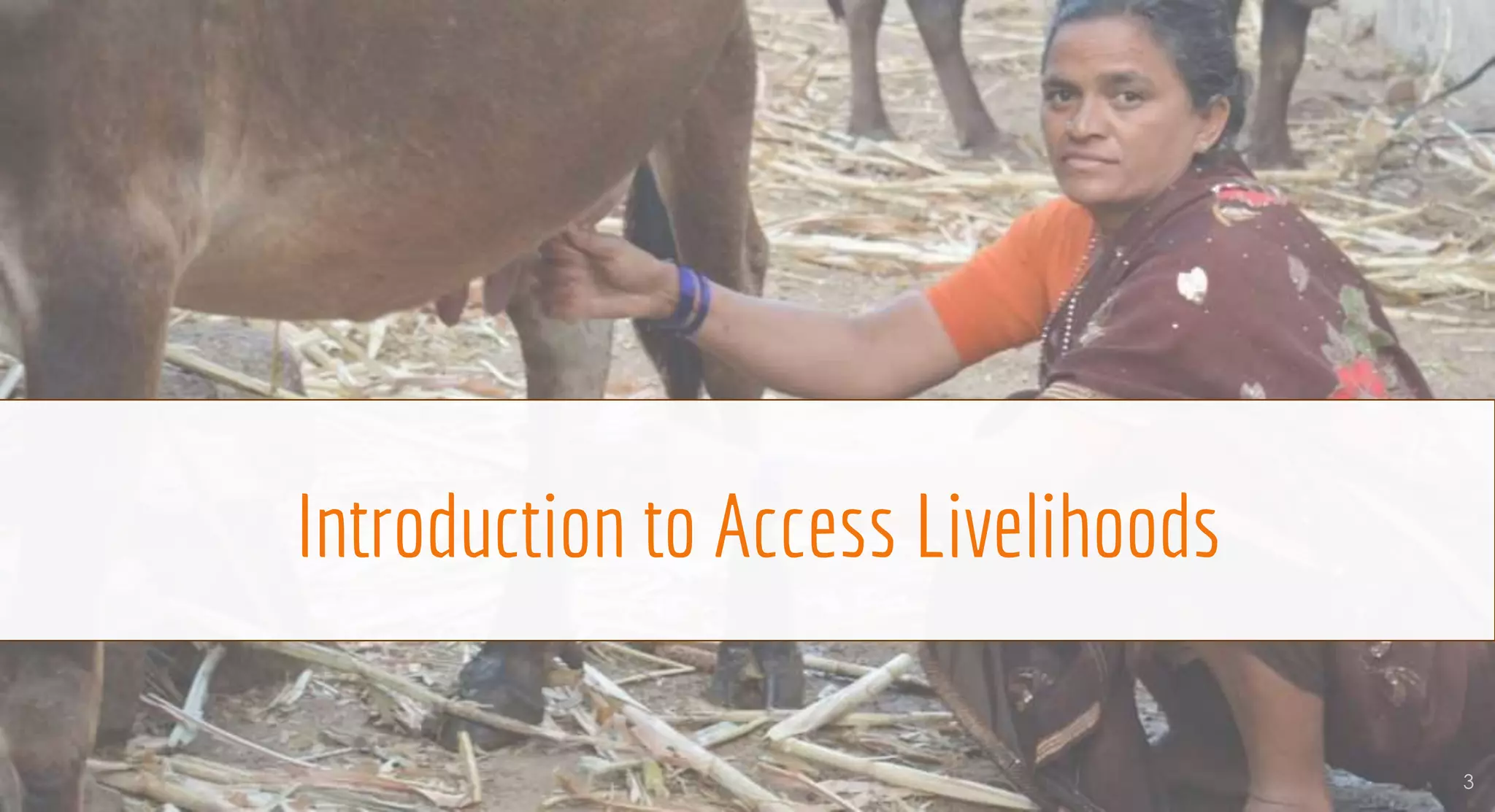 1 AL Pitch Deck Sep 16.pptx | Agriculture | Industries