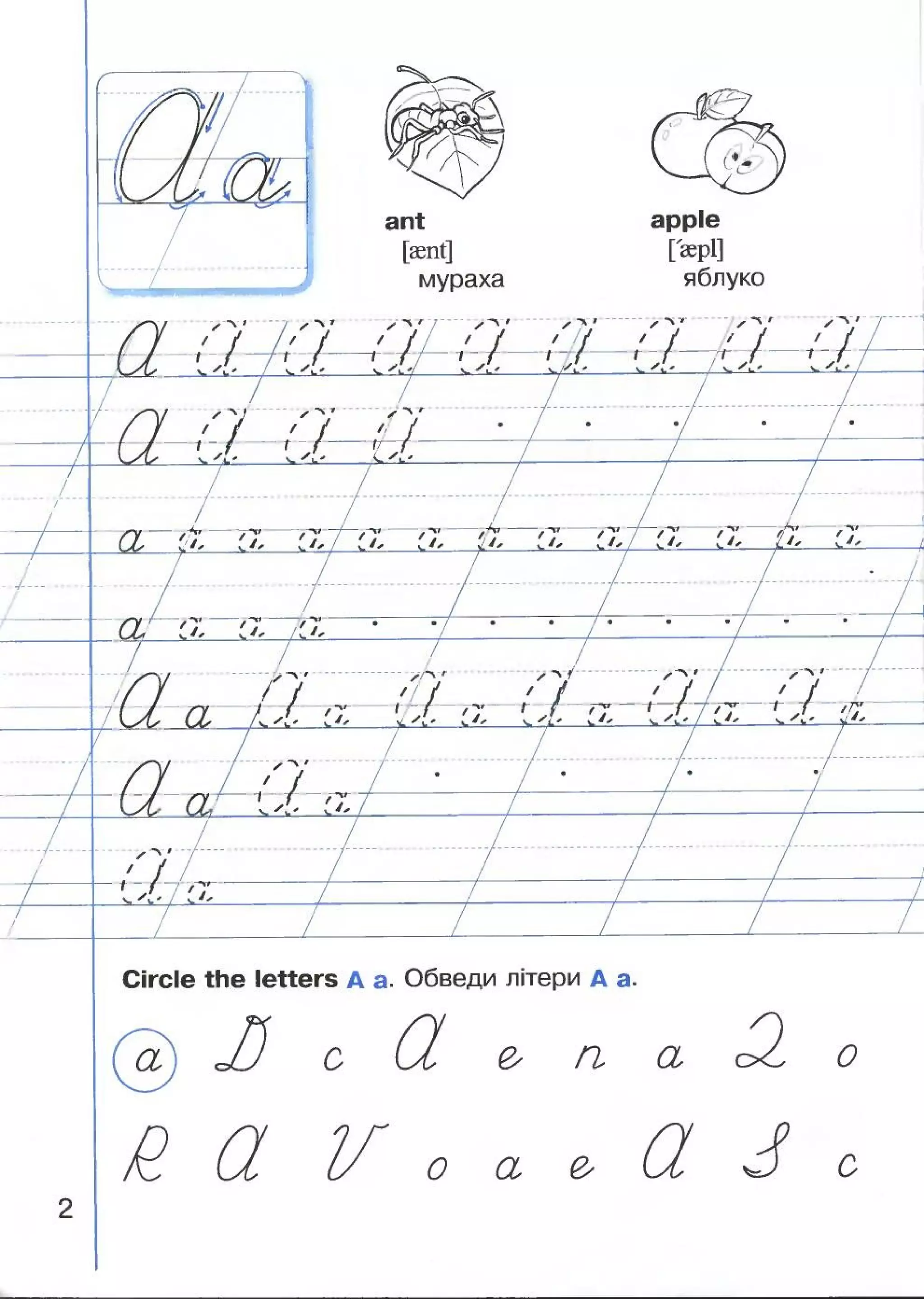 English Handwriting Book 1 клас Вітушинська | PDF